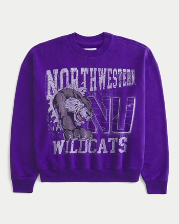Men's Boxy Northwestern University Wildcats Graphic Crew Sweatshirt ...