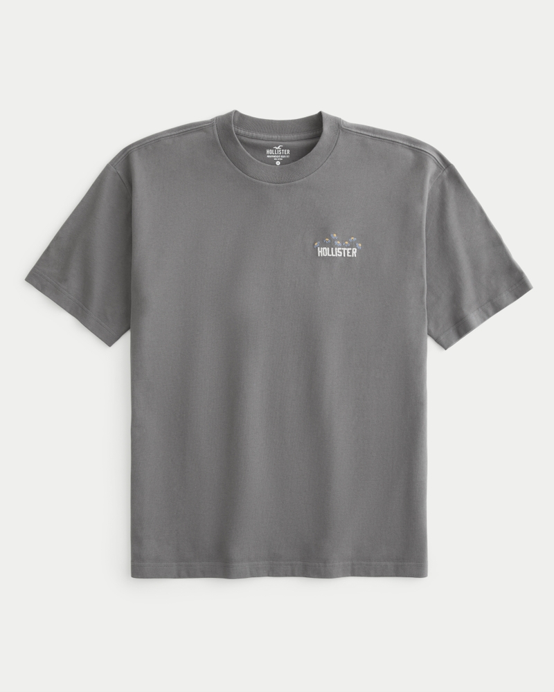 Men's Heavyweight Boxy Logo Graphic Tee | Men's Tops | HollisterCo.com