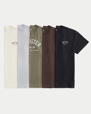 Men's Relaxed Logo Graphic Tee 5-Pack | Men's Tops | HollisterCo.com