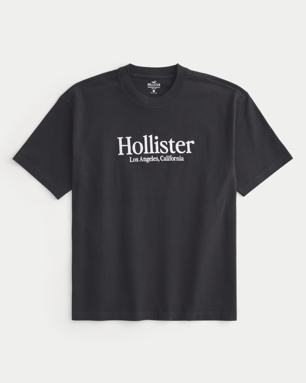 Mens Graphic Tees - Printed T-Shirts Mens | Hollister Co.